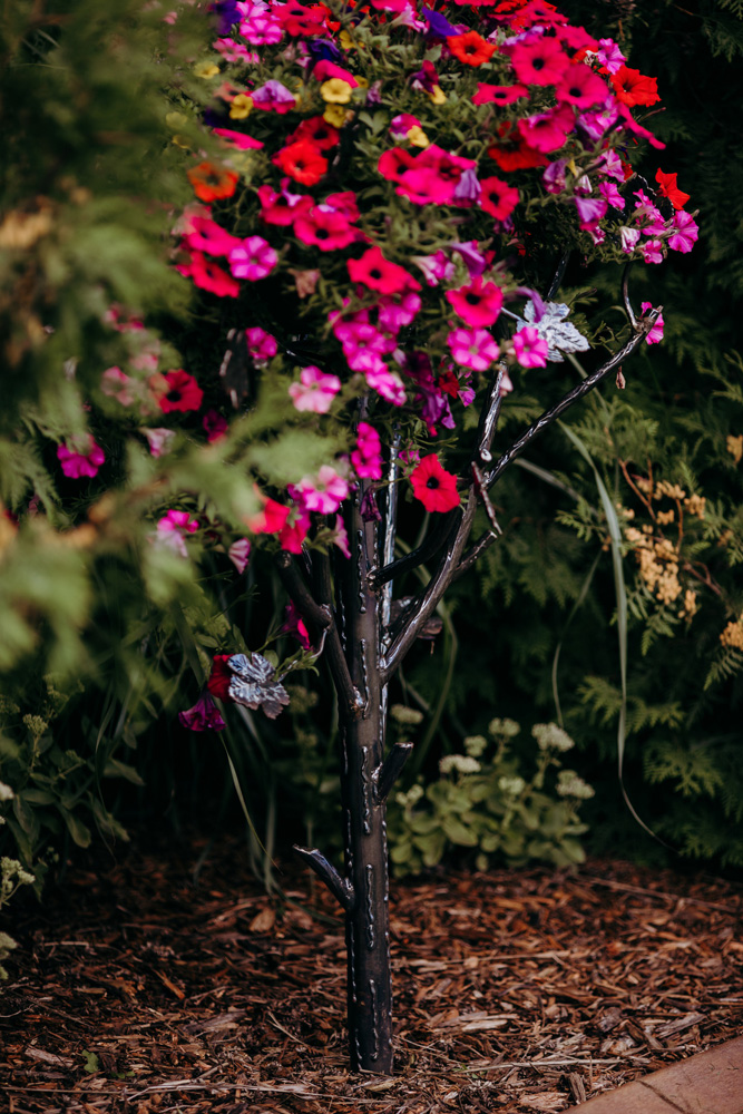 Gallery - Fiore Trees