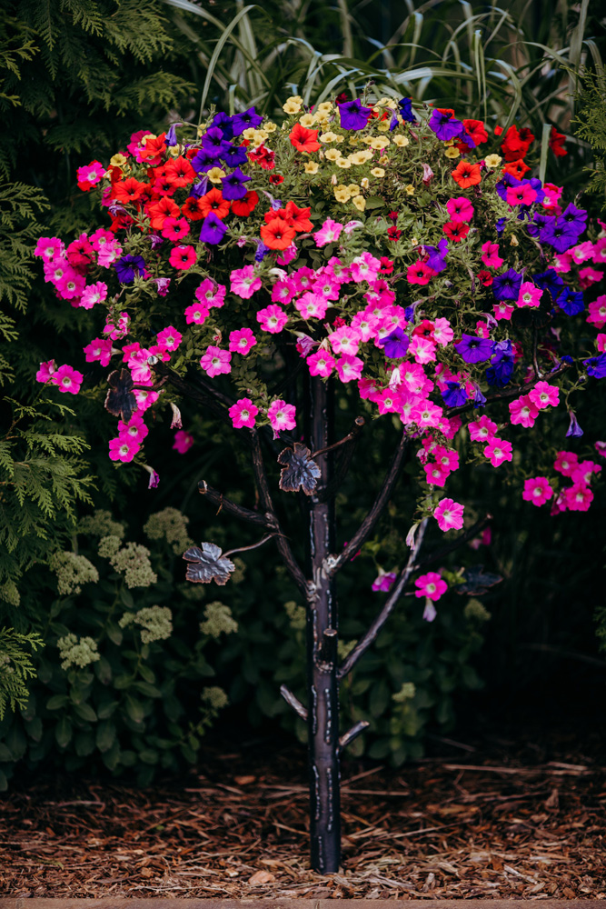 Gallery - Fiore Trees