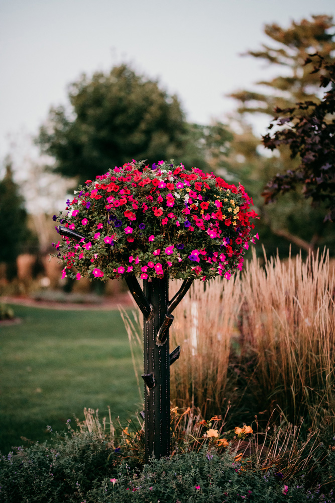 Gallery - Fiore Trees