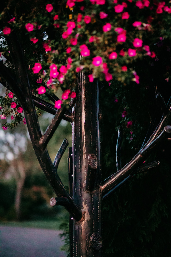 Gallery - Fiore Trees