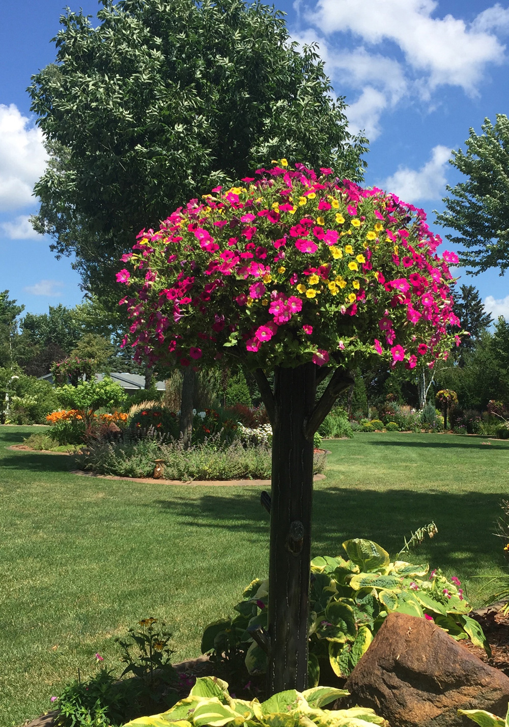 Gallery - Fiore Trees