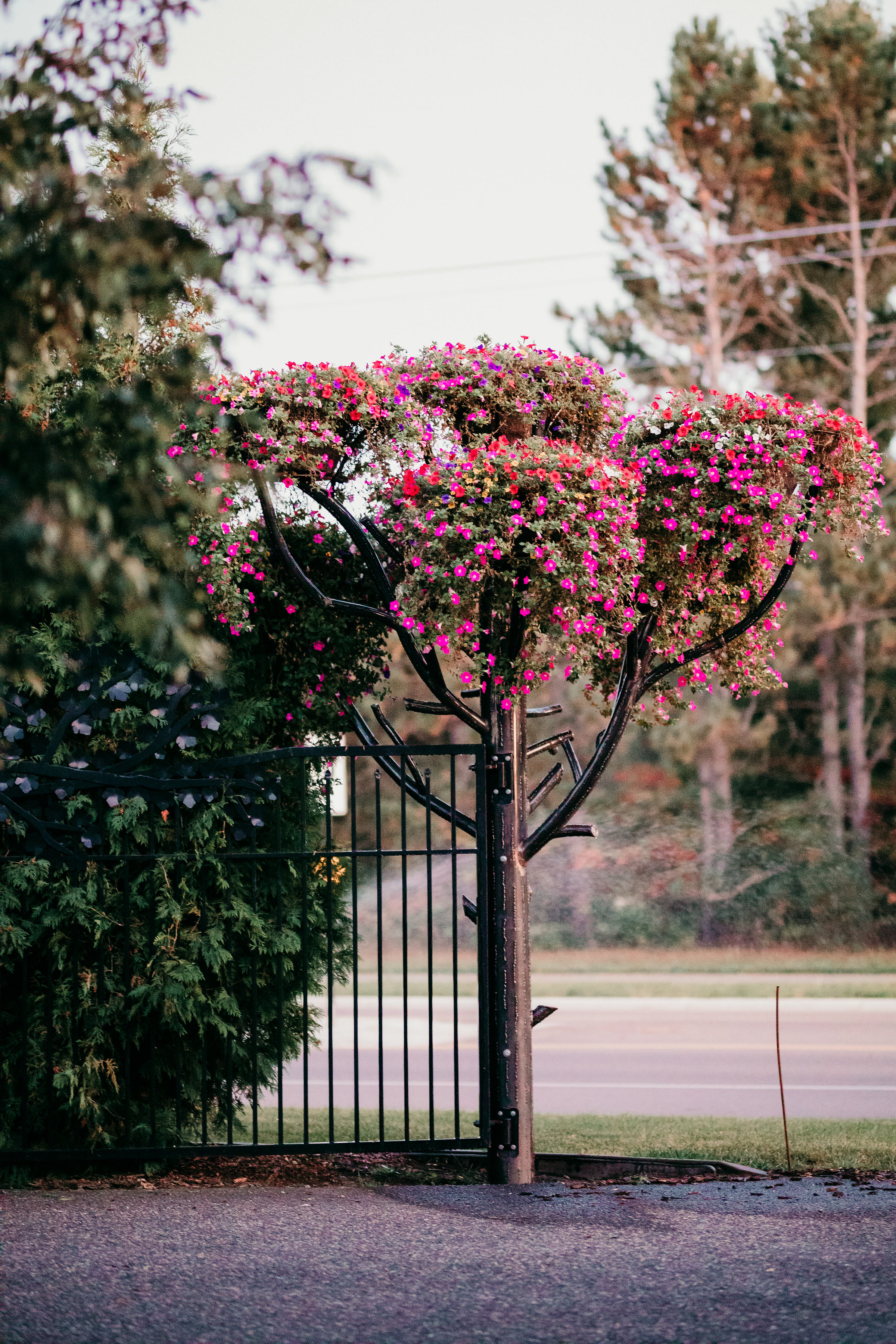 Fiore Trees - The Original Hand-Forged, Metal Flower-Basket Trees